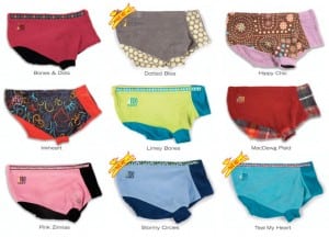 Keep Amputee Dogs WarmFido Fleece Dog Sweater