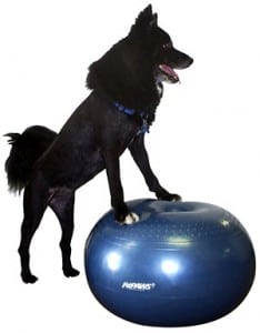 FitPAWS Donut Dog Exercise Ball Product Review Video