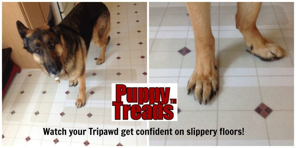 Add Traction to Stairs and Floors with Puppy Treads Decals
