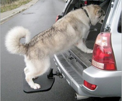 Truck and SUV Hitch Receiver Pet Steps for Helping Dogs