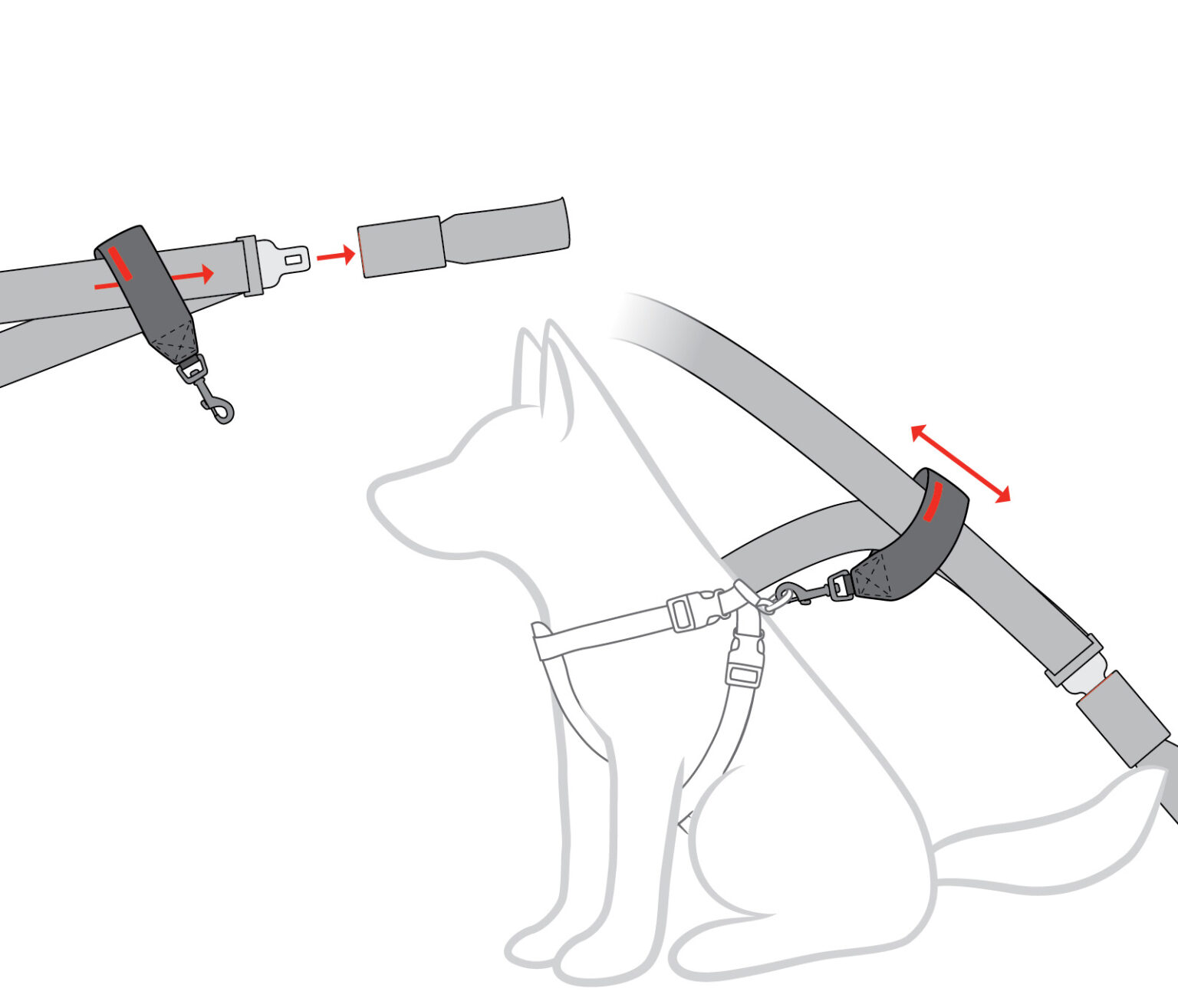 Dog Seat Belt Restraints for Safer Car Rides